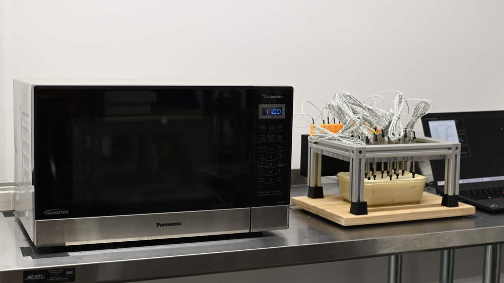 Panasonic sn67hs microwave store