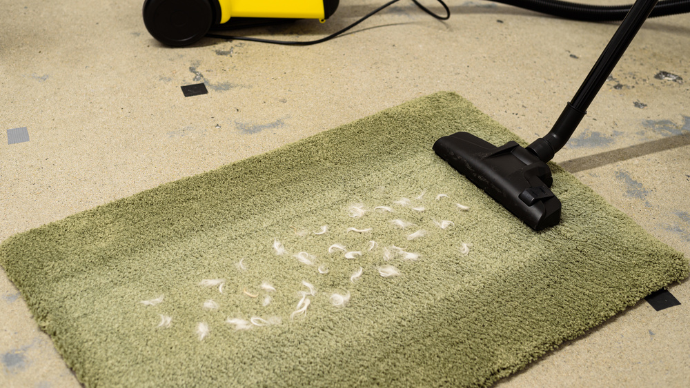 Eureka Mighty Mite Review - RTINGS.com