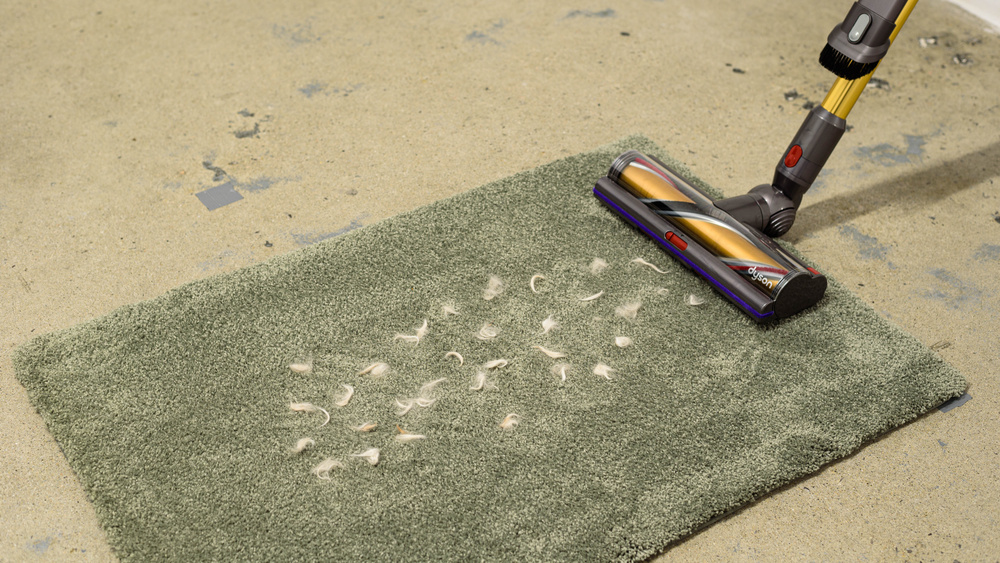 Dyson Outsize Review - RTINGS.com