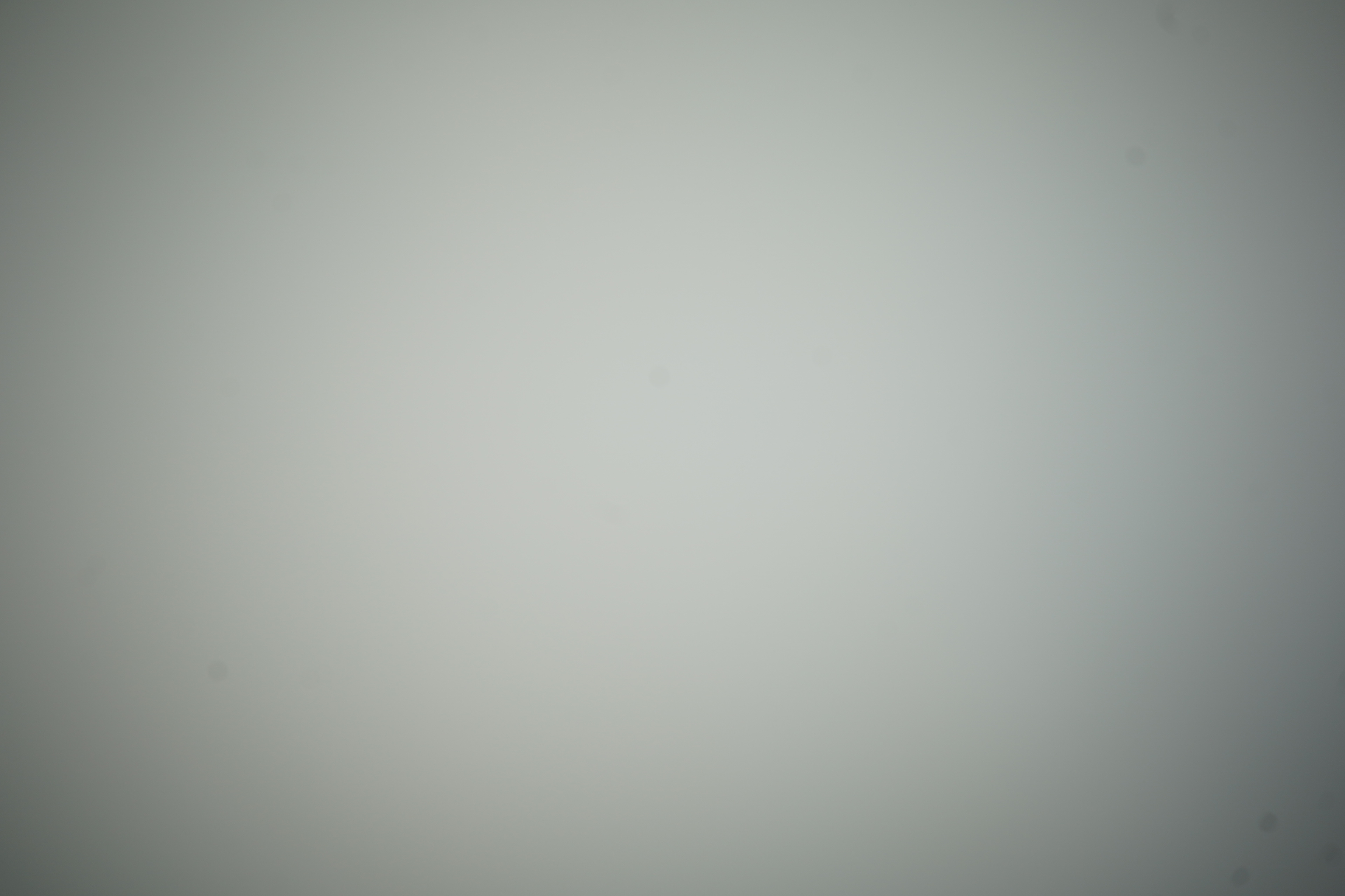 Sony α7 III Review - RTINGS.com