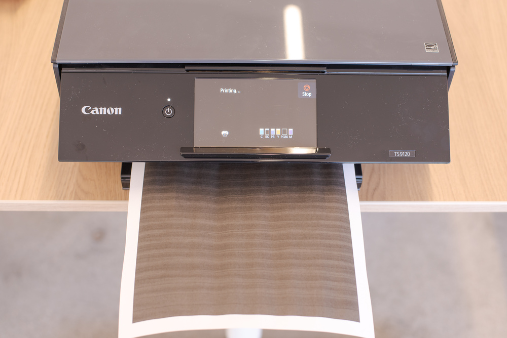 Canon PIXMA TS9120 Review - RTINGS.com
