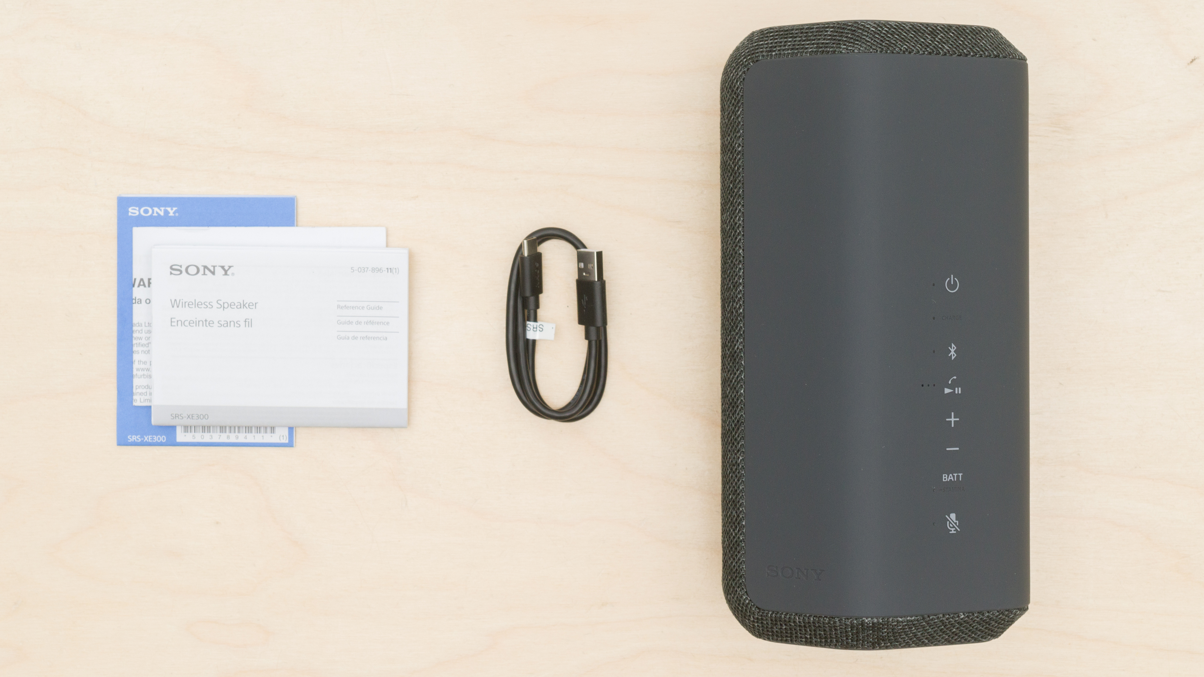 Sony SRS-XE300 Review - RTINGS.com