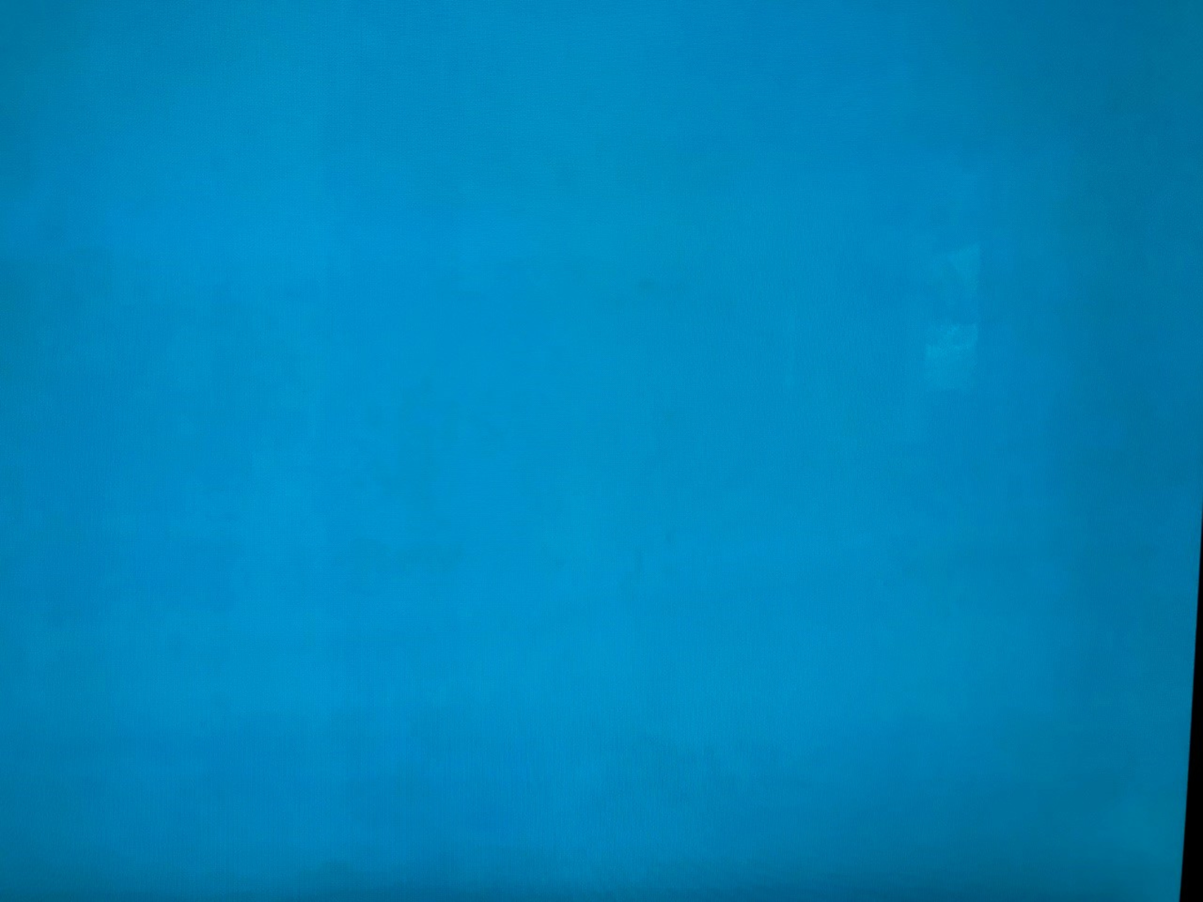 20/7 Burn-In Test: OLED vs LCD VA vs LCD IPS