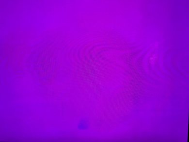 20/7 Burn-In Test: OLED vs LCD VA vs LCD IPS