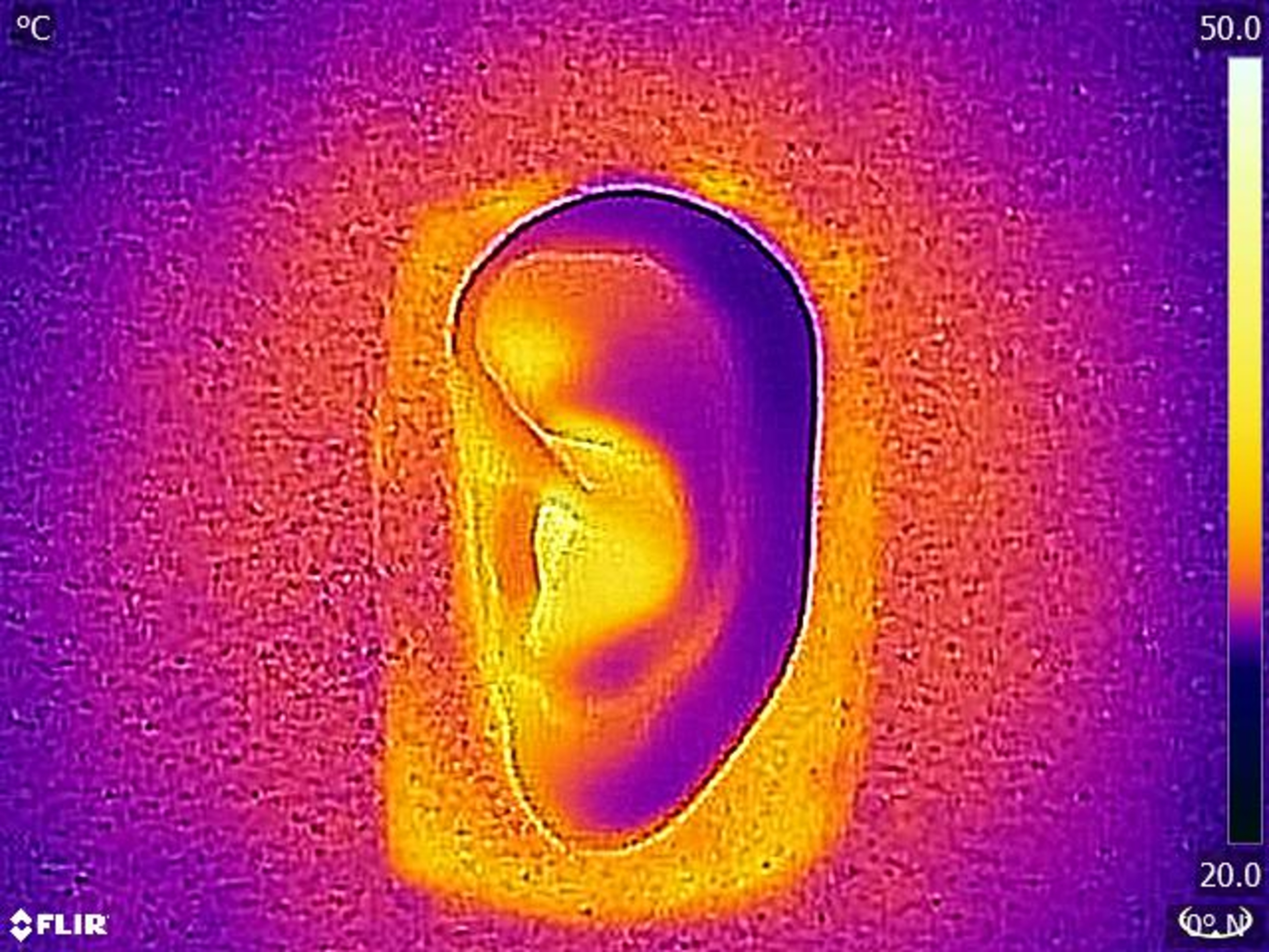 Sennheiser HD 700 Review