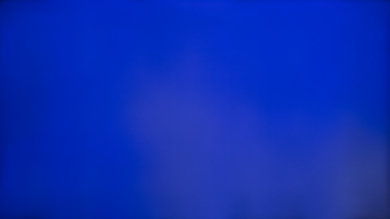 20/7 Burn-In Test: OLED vs LCD VA vs LCD IPS - RTINGS.com