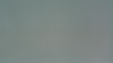 Real Life OLED Burn In Test on 6 TVs - RTINGS.com