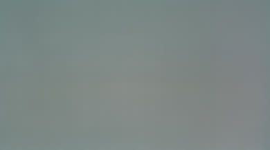 Real Life OLED Burn In Test on 6 TVs - RTINGS.com